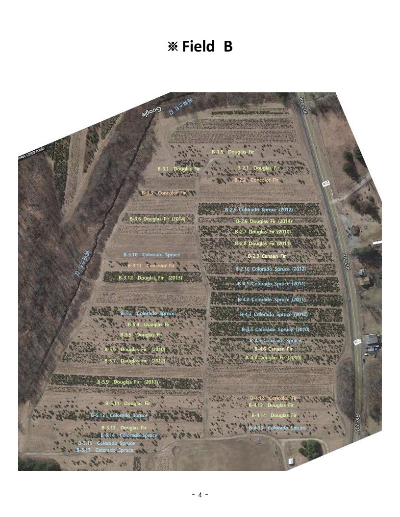 Christmas Tree Farm Information – St. Paul's Abbey