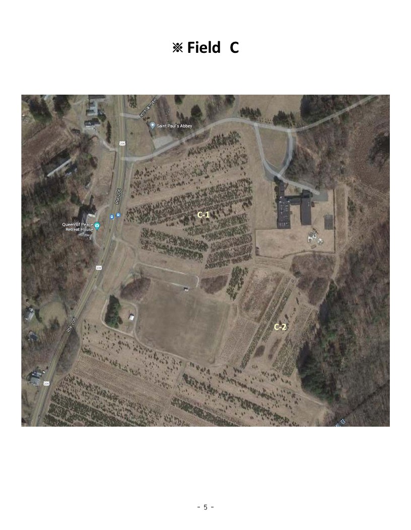 Christmas Tree Farm Information – St. Paul's Abbey