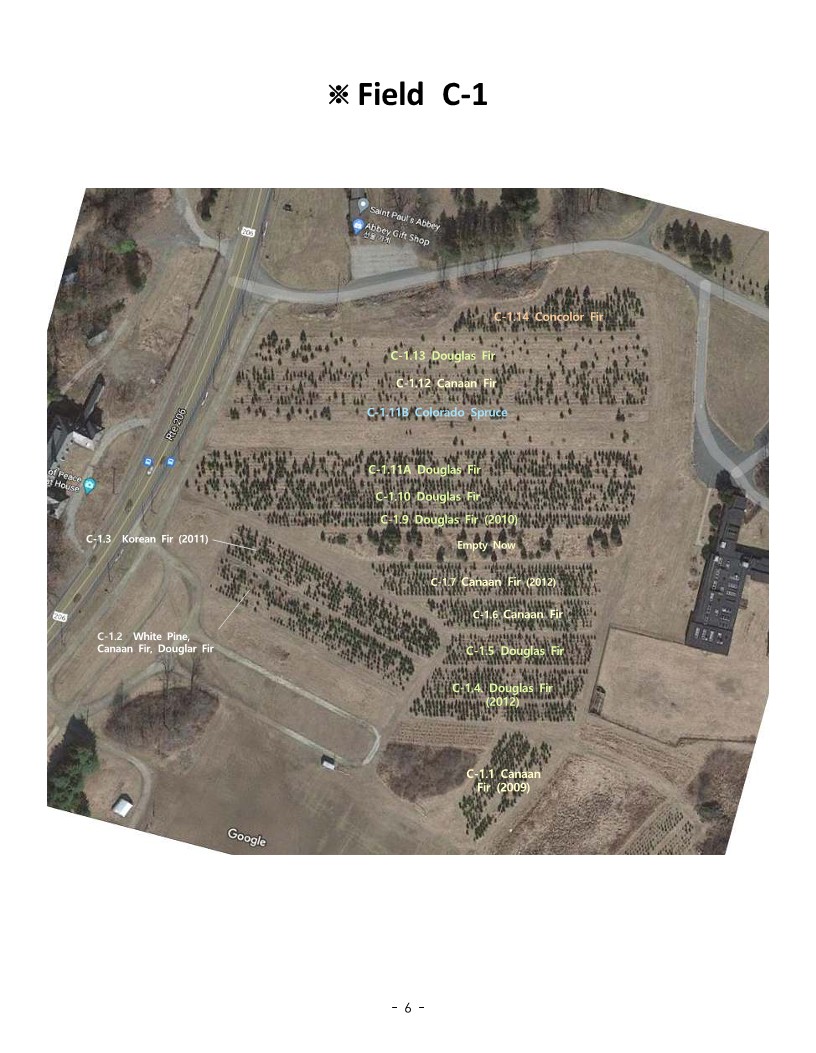 Christmas Tree Farm Information – St. Paul's Abbey